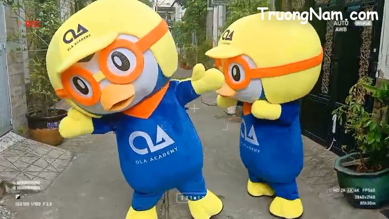 Mascot CHIM CÁNH CỤT OLA Academy - May mascot động vật, mascot chim ...