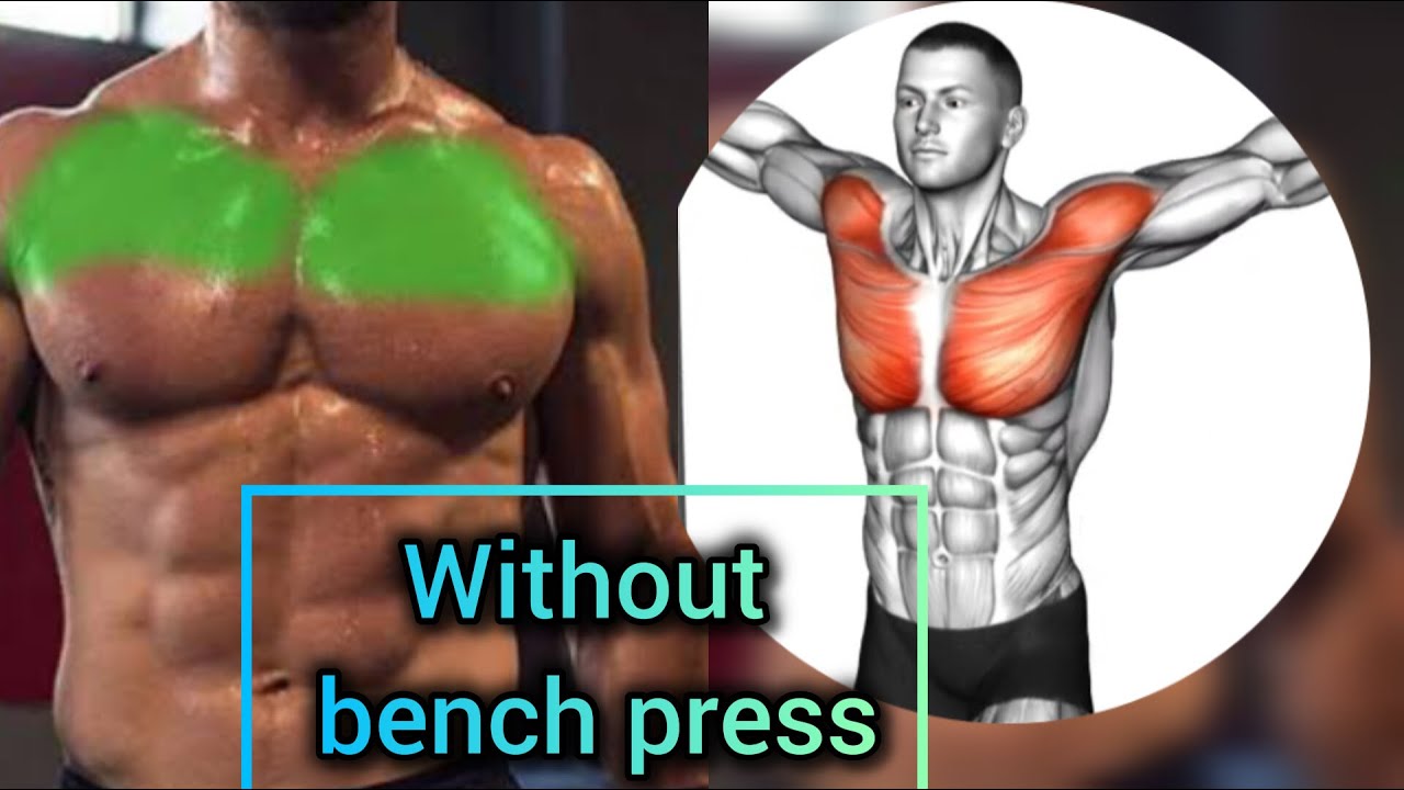 Best Warm Up Before Chest Workout || Do This Before Your Workout - YouTube