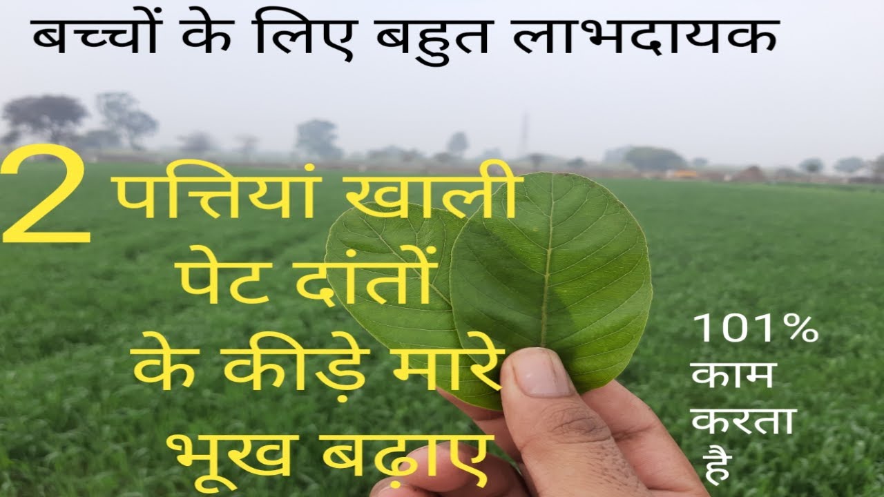 dant ke kide,दांत में कीड़े का इलाज,daant mein keeda lag jaye to kya ...