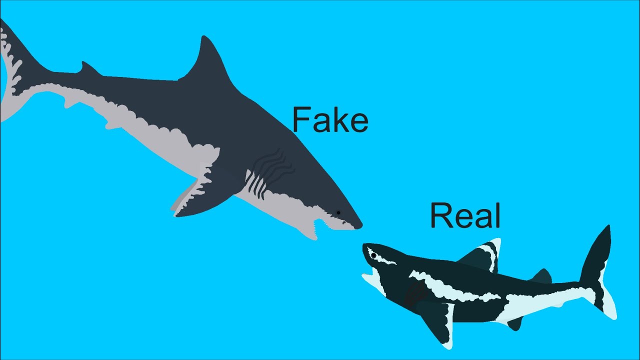 Accurate Megalodon VS Fake Megalodon - YouTube