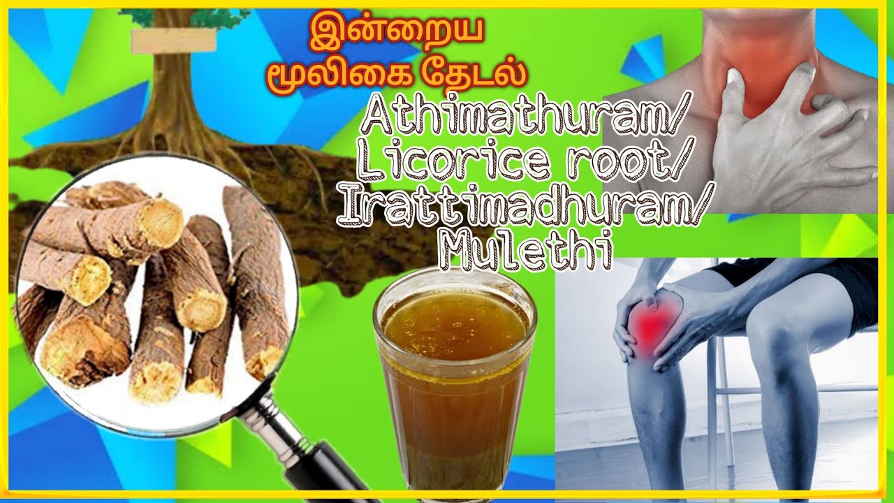 Athimathuram/Licorice root/Irattimadhuram/Mulethi|Medicinal Uses ...