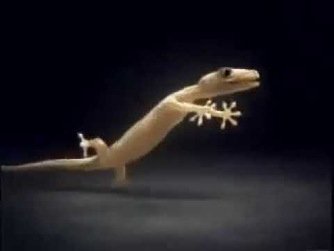 Lizard Love Story - Funny Thai commercial (Shera ceiling board) - YouTube