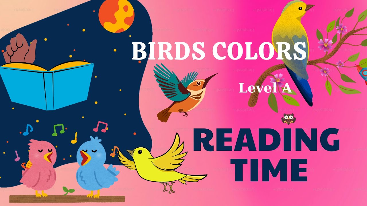 BIRDS COLORS/ level A/ Razkids/mp3 and mind map/ reading time/ - YouTube
