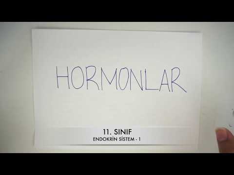 11. SINIF | ENDOKRİN SİSTEMİ - I  | HORMONLARIN ÖZELLİKLERİ, HİPOTALAMUS,  HİPOFİZ BEZİ ( AYT-8 )