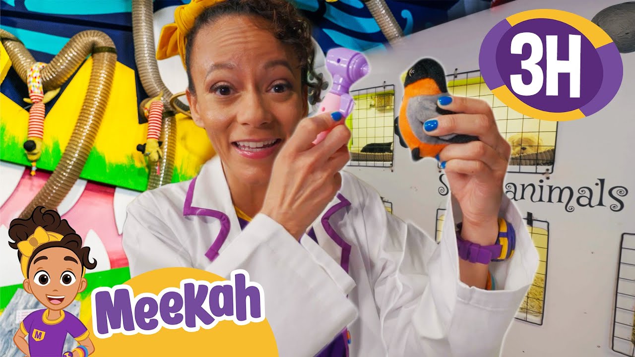 Meekah Rescues the Animals | Educational Videos for Kids | Blippi and ...