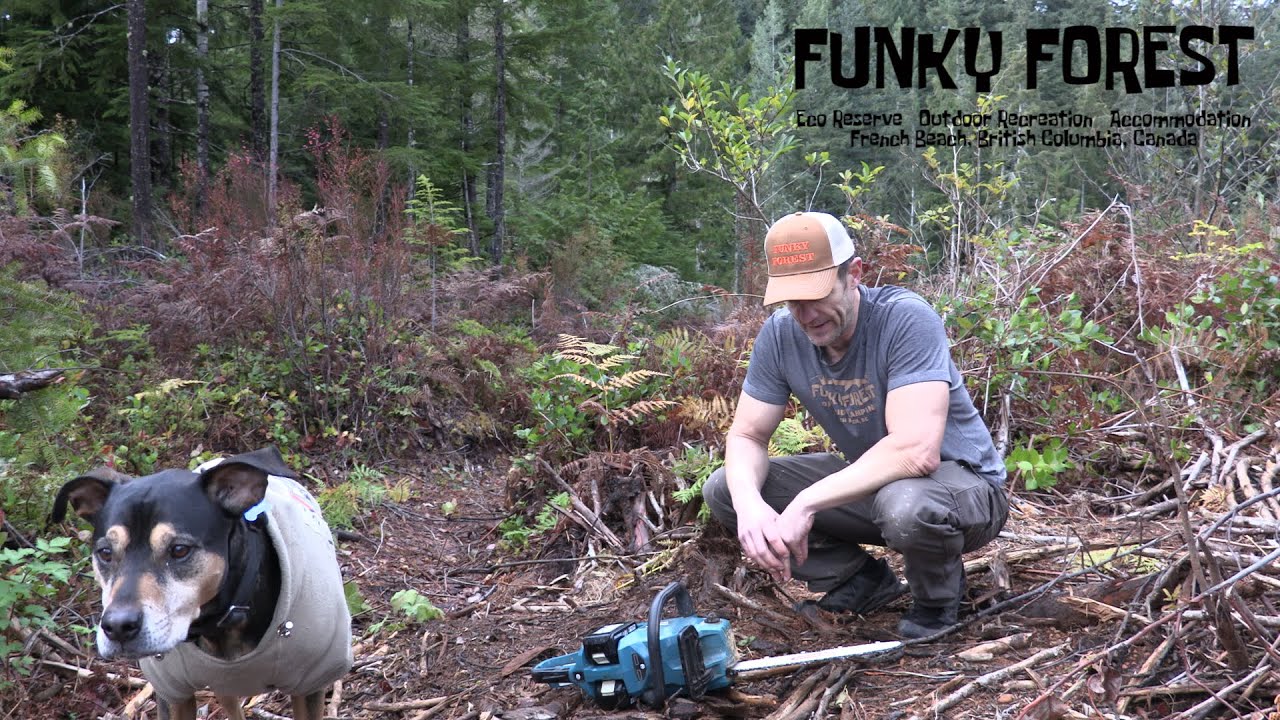 What's happening at Funky Forest on November 11, 2024 - YouTube