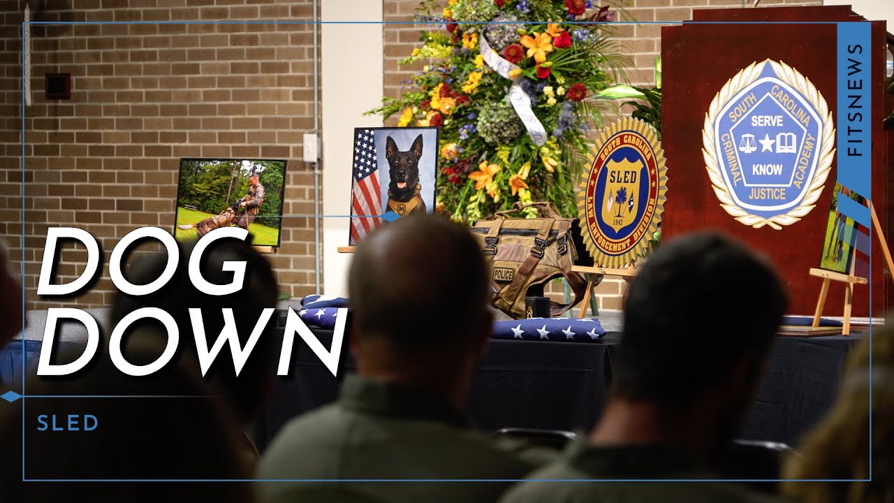 Remembering K9 Rico: South Carolina Honors Service and Sacrifice of ...