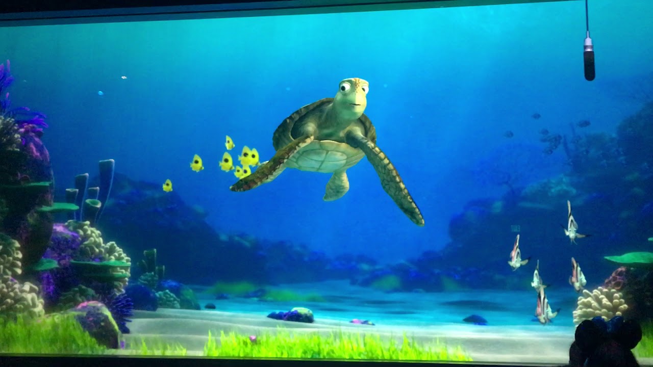 Turtle Talk with Crush - YouTube