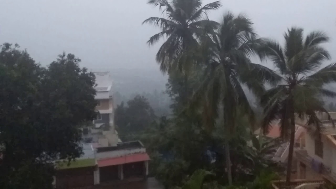 Early morning drizzle turned into moderate rain now. - YouTube