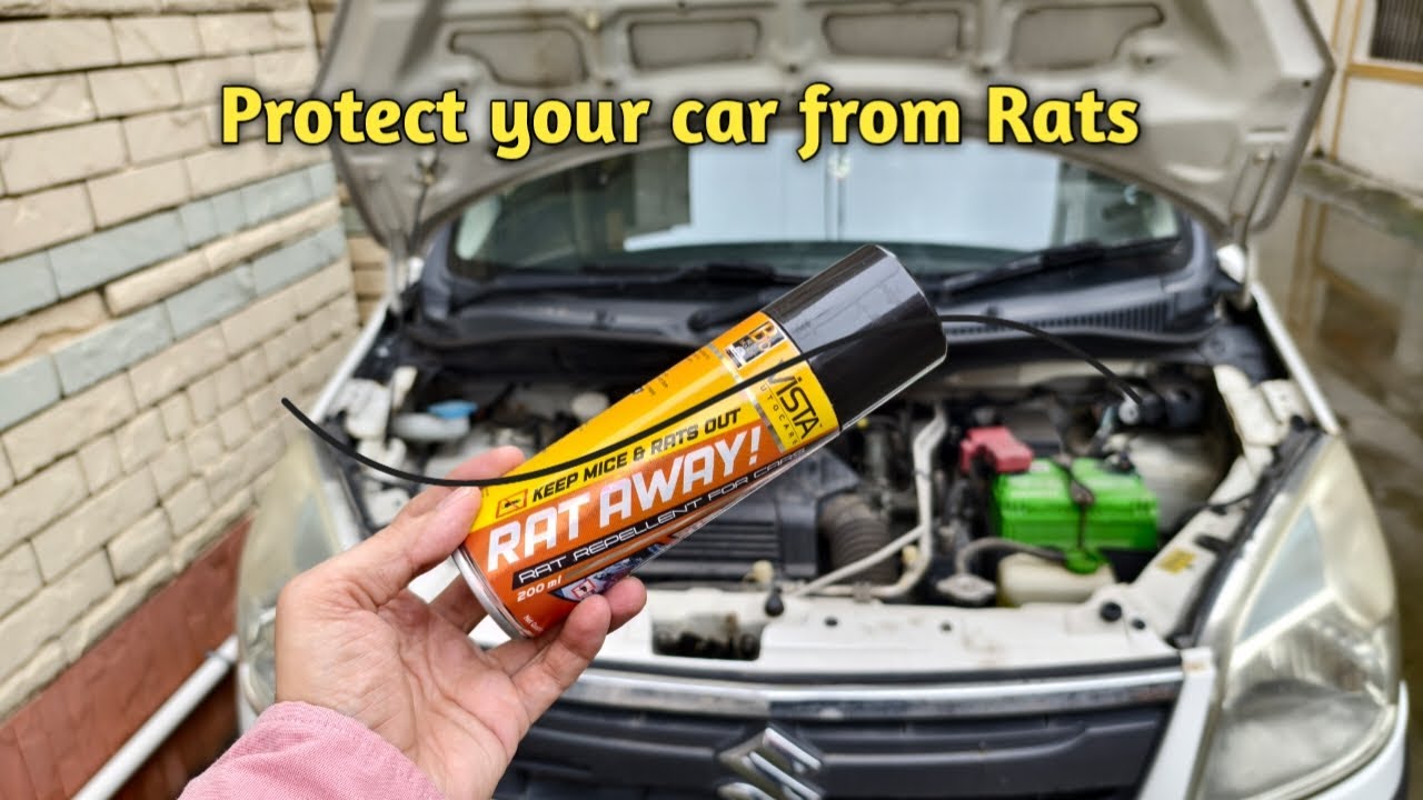 Rat Spray For Car | Protect Your Car From Rat | Vista Rat Away Spray ...