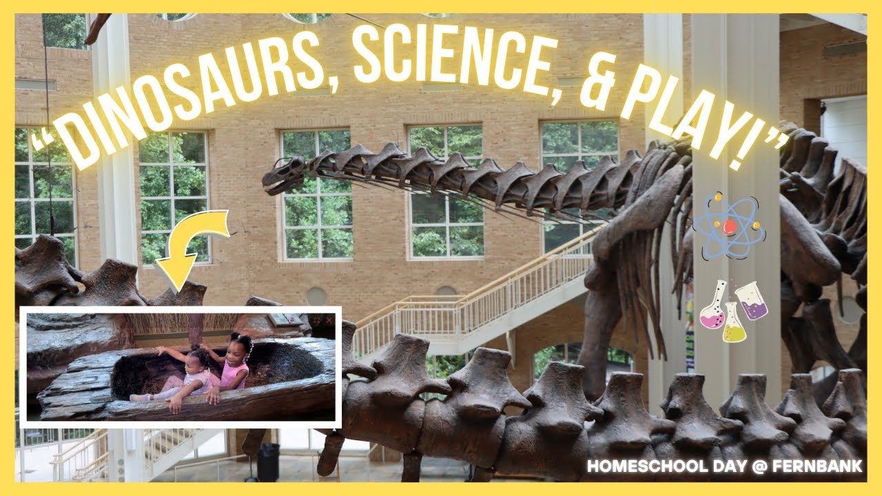 Homeschool Field Trip to Fernbank Museum || Hands-On STEAM Activities ...