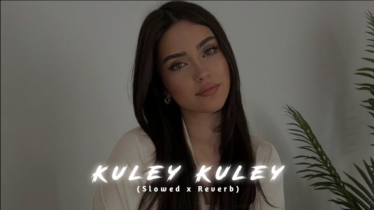 Kuley Kuley - Yo Yo Honey Singh (Slowed + Reverb) || Patlo Nu Ajj Patne ...