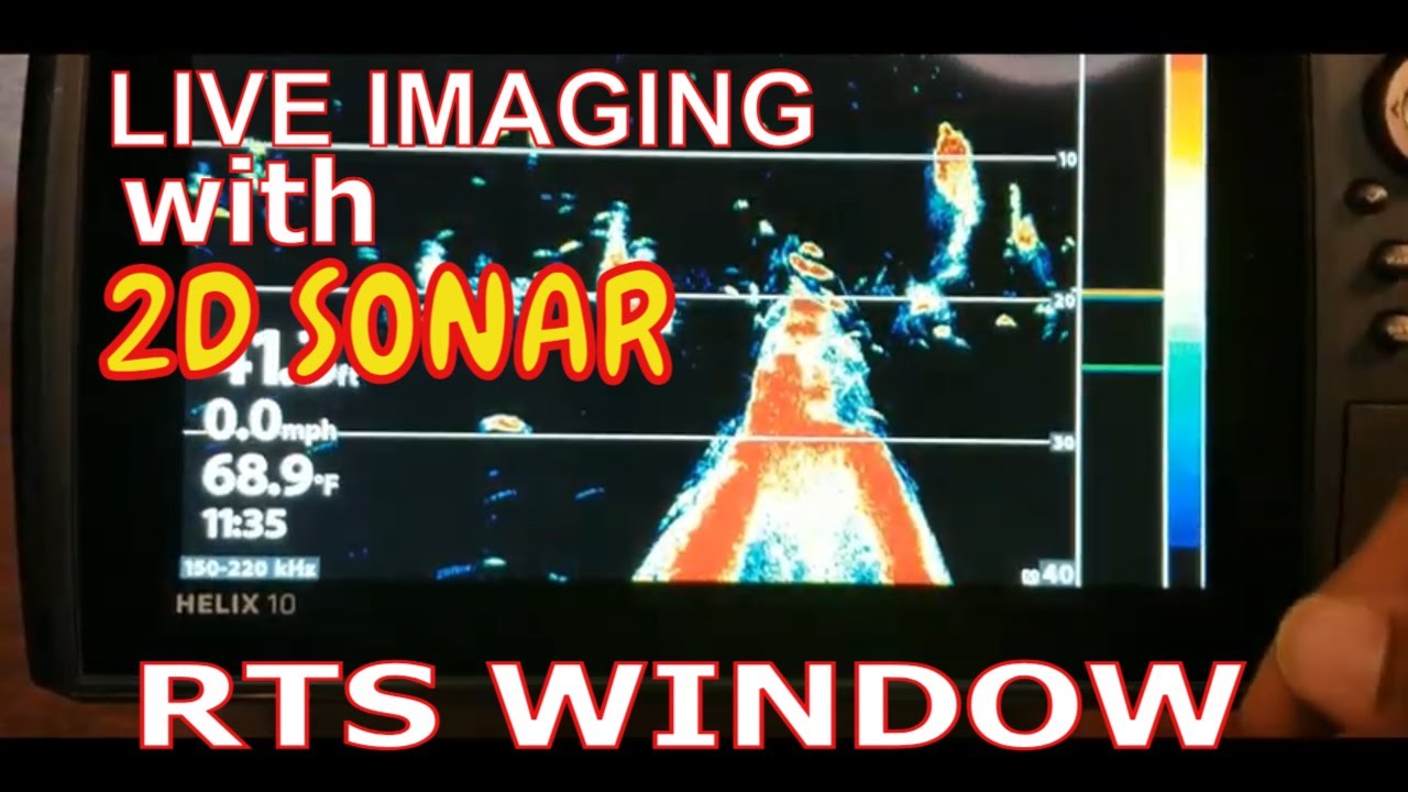 2D Sonar SECRET "Live Window" for those without MEGA LIVE! Learn this ...