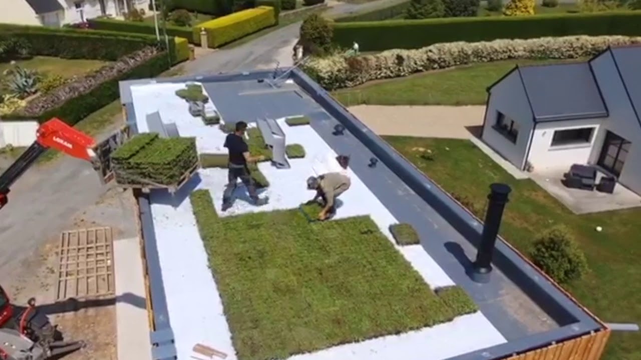 Installation green roof with sedumtrays - YouTube