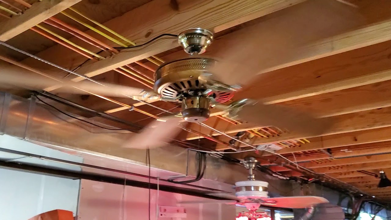 Codep SM Series ceiling fan. - YouTube