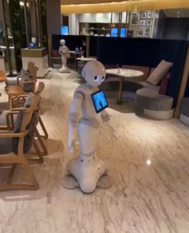 Automated Entertainment Robot for Restaurant - YouTube