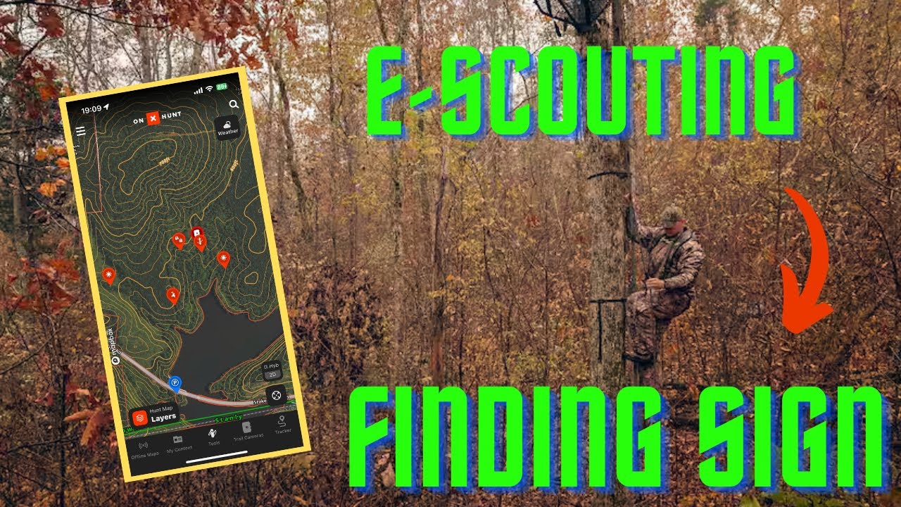 Public Land Hunting - Scouting for deer sign in NC - YouTube