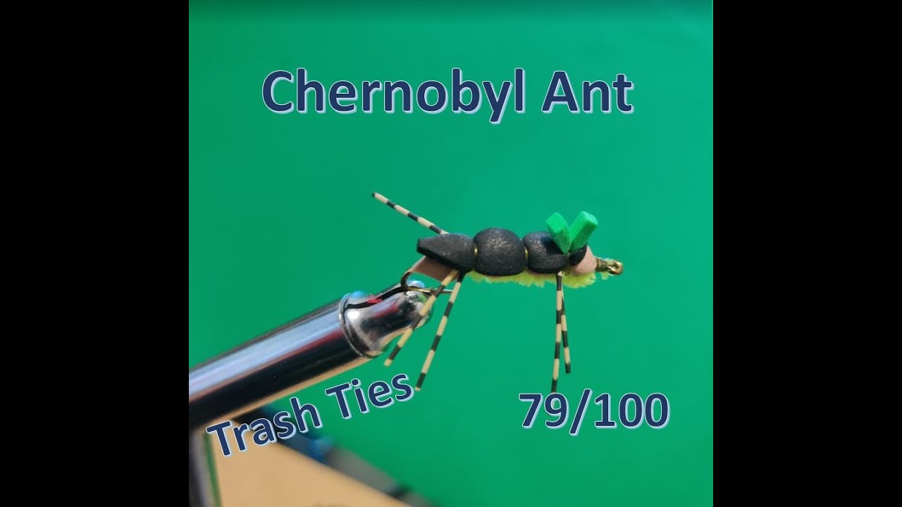 First 100 flies, Chernobyl Ant 79/100 - YouTube