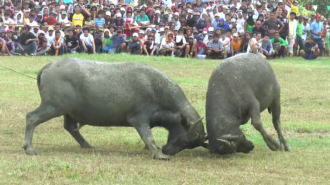 TUROGPO..at Carigara Leyte / ATV HA DOS QUATRO - YouTube