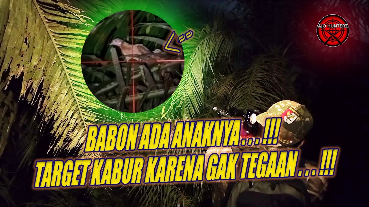 RAGU SHOOT SI BABON BAWA ANAK 😭 BERBURU RUAK RUAK DAN AYAM HUTAN MALAM !! HUNTING WITH BIRD PCP ...