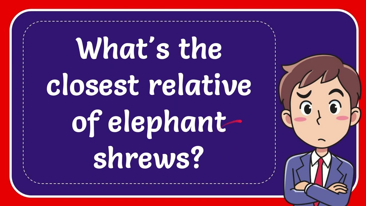 What's the closest relative of elephant shrews? #Answer - YouTube