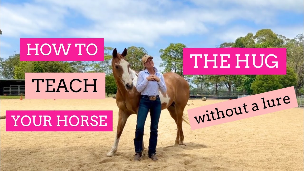 How To Teach Your Horse the Hug No Lure : Pro Tips The Method | Lara ...