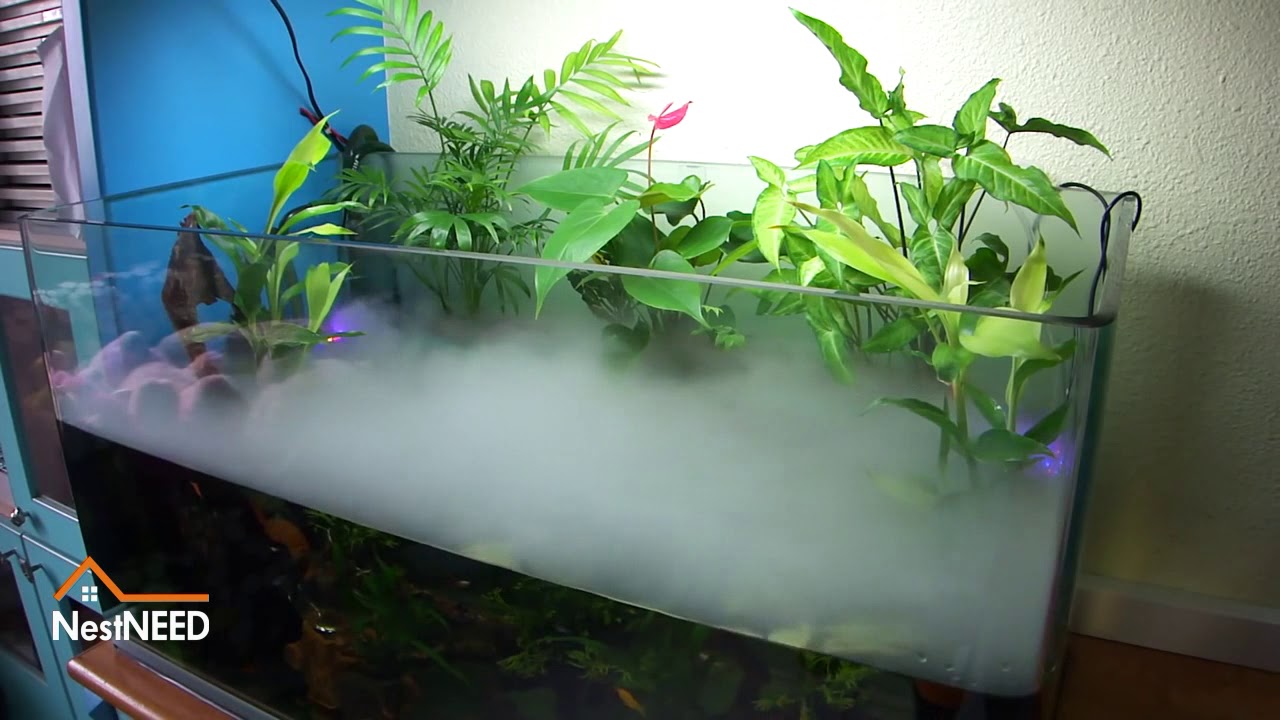 LED Light Mist Maker for Water Fountain Pond - YouTube