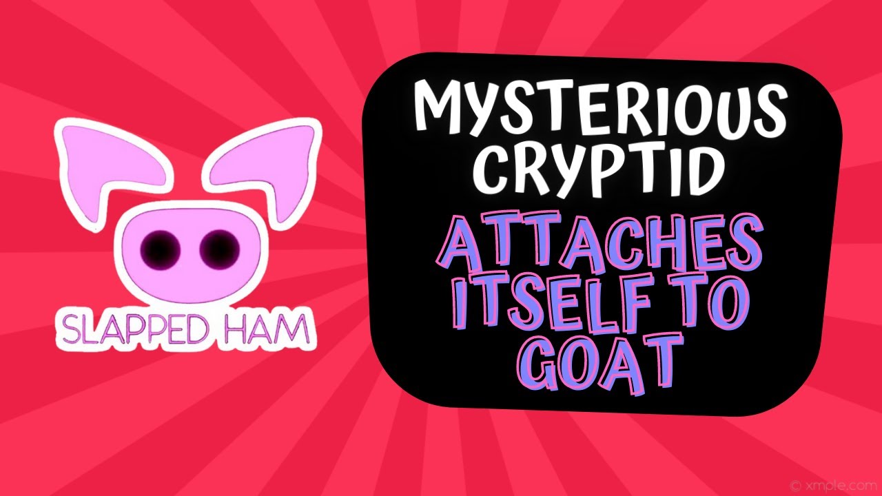 Mysterious Cryptid Attaches Itself to Goat | The Jack Off Hour Ep. 37 ...