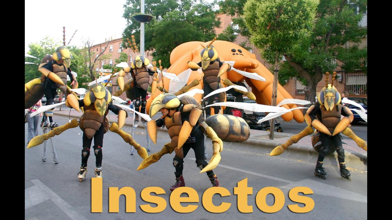 Insectos Pasacalles - Animación - Zancos - Insectos Divertidos - Arte ...