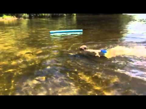 Theo swimming at crystal lake - 2014 - YouTube