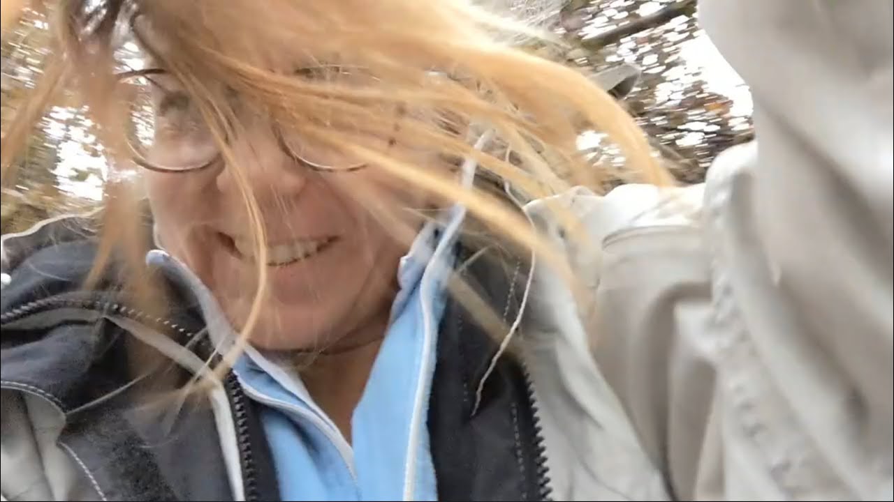 10 in 10: catch a falling leaf #blowdry - YouTube