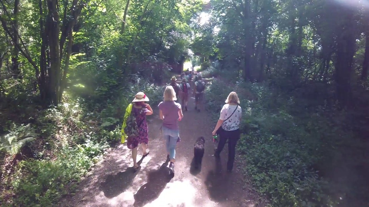 Wickham Walk - YouTube