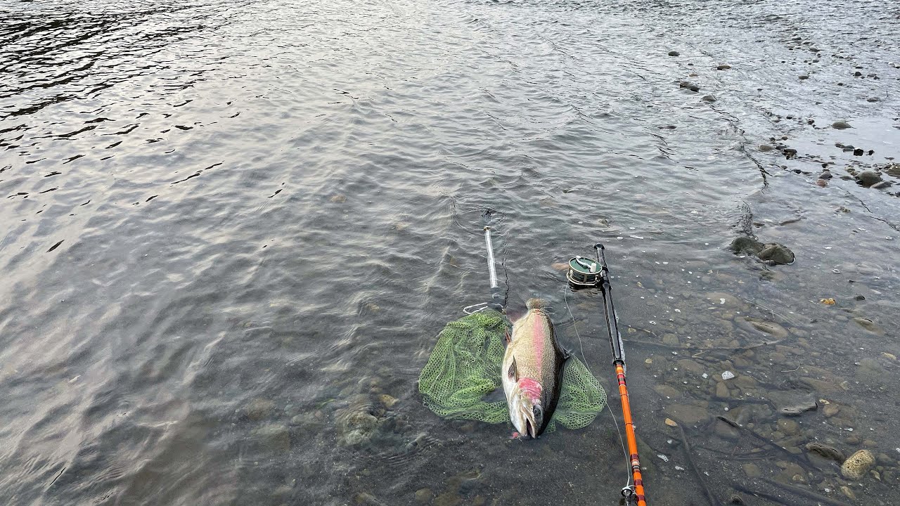 [4K] Teshio river Hokkaido 天塩川 LLサイズ本流レインボー / slow fishing - YouTube