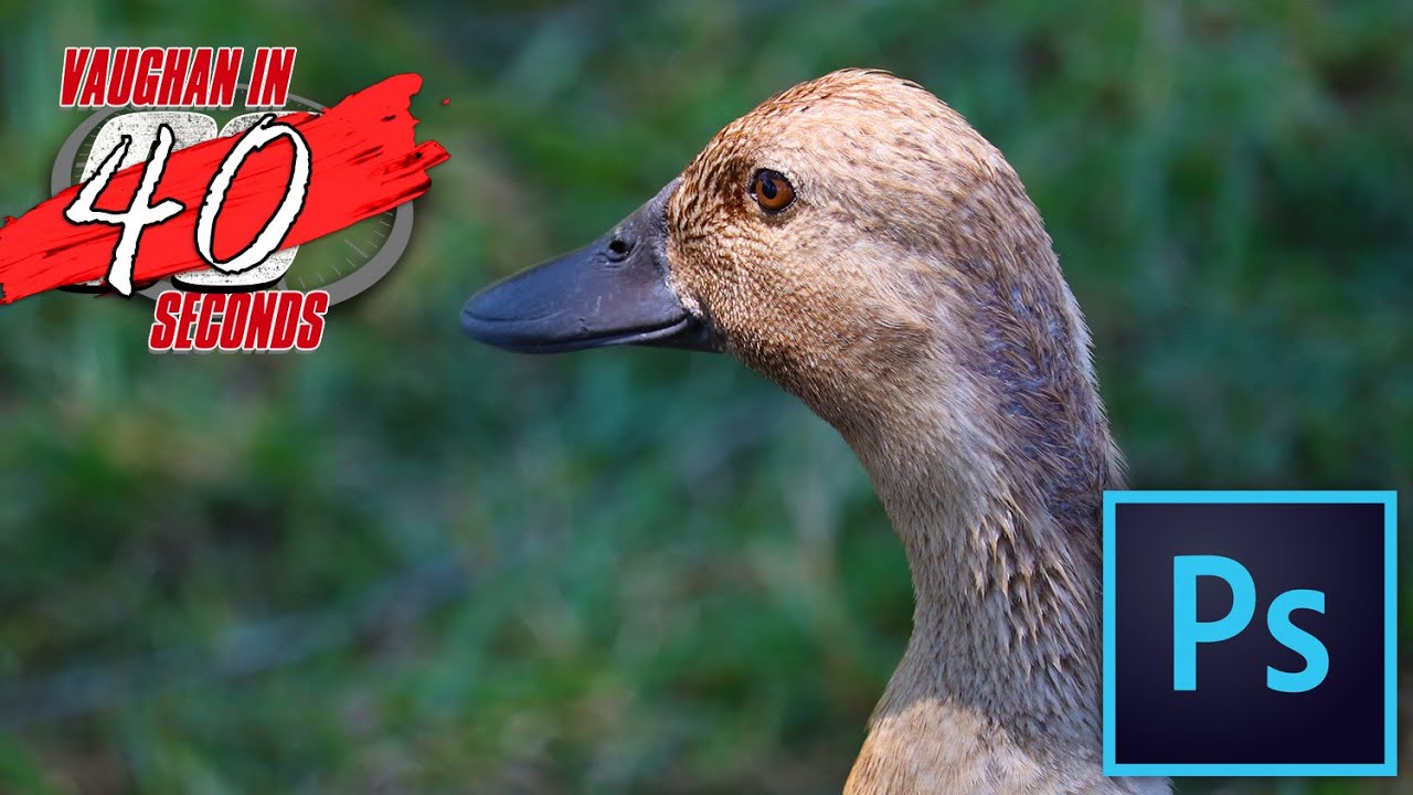 Photoshop | Fade Filter - YouTube