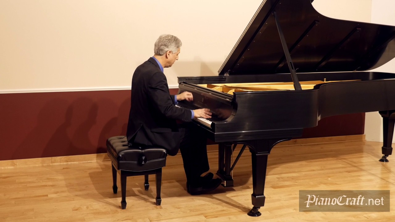 Chopin "Black Key" Etude Op10 No 5 Brian Ganz - YouTube