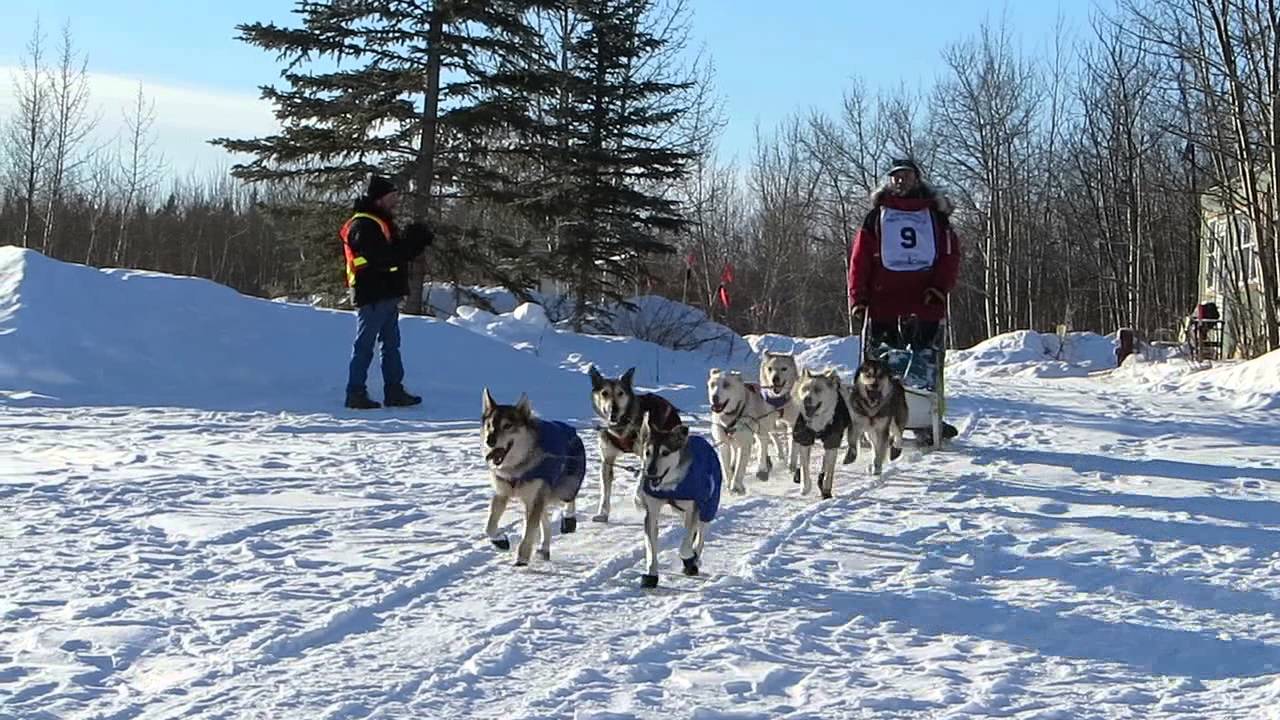Yukon Quest 2014 - Brian Wilmshurst - YouTube