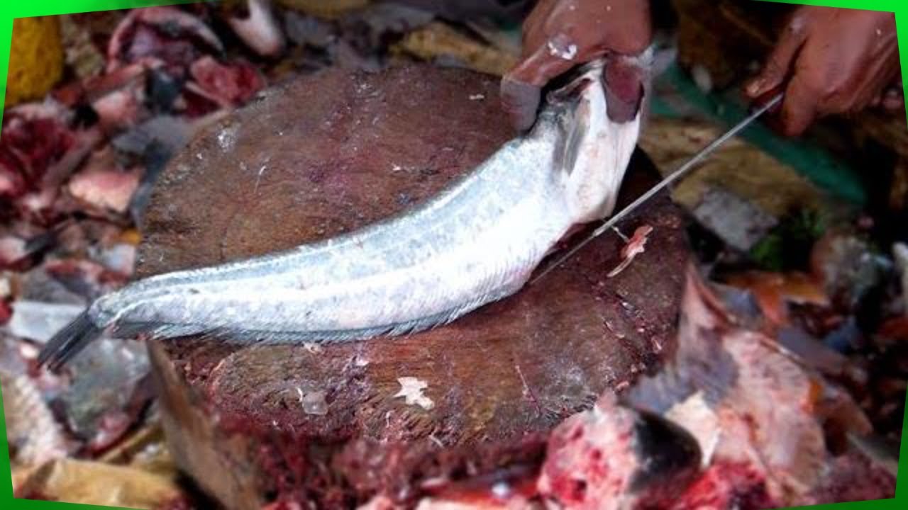 Best Fish Fishing Video Ideas | Malli Fish Cutting for fish fry | fish ...