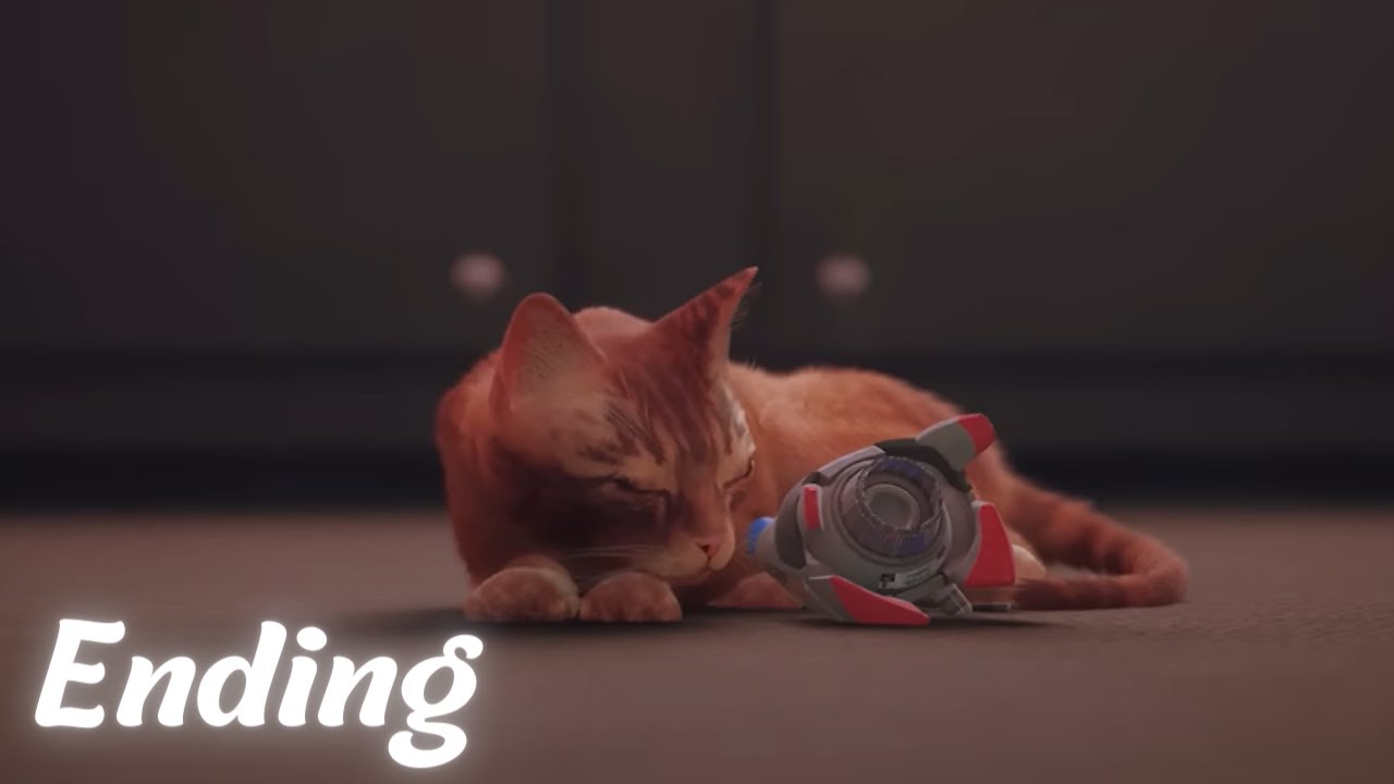 STRAY PS5 Walkthrough Gameplay Ending - YouTube