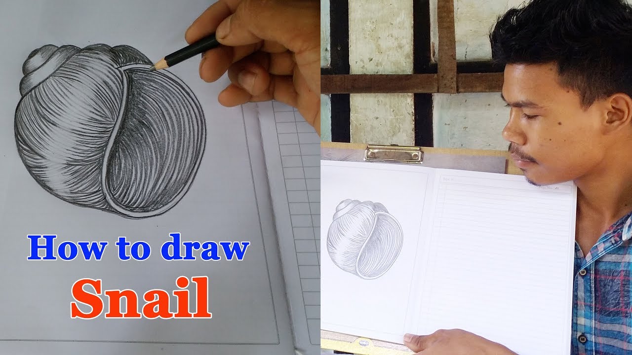 How to draw snail | Apple Snail | shading snail - YouTube