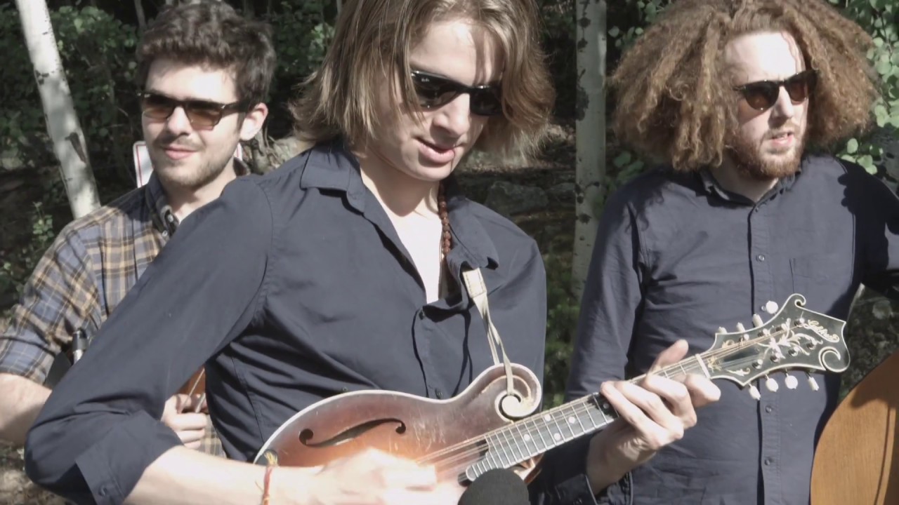 Phoebe Hunt and the Gatherers "Frolic of the Bee's" - YouTube