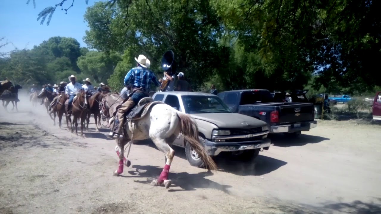 Paseo x rodeo city en durango - YouTube