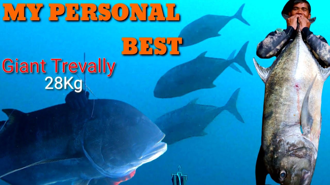 MY PERSONAL BEST GIANT TREVALLY 28KG SPINNED SHOT . ||BORACAY ...