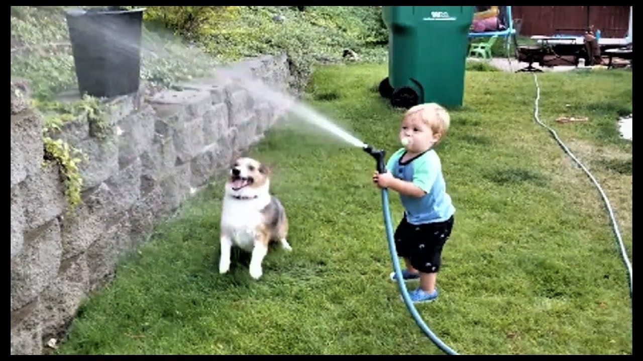 baby vs dog funny video | Best Babies Laughing Video Compilation part 2 ...