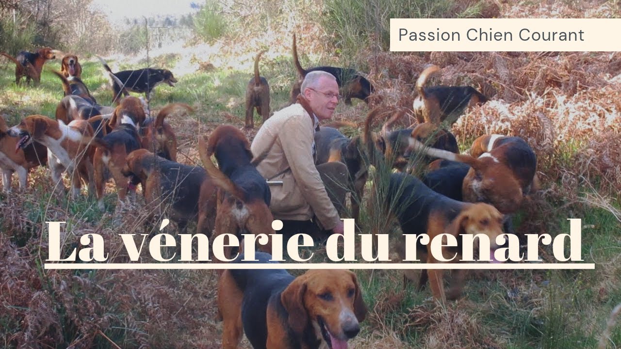 Chasse Au Renard Easyriders
