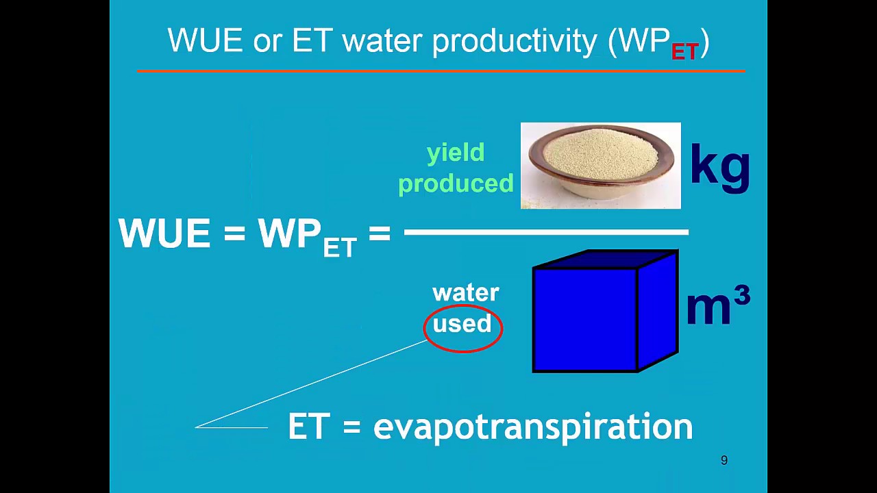 Water productivity AquaCrop - Training module Nr. 4.7, April 2016 - YouTube