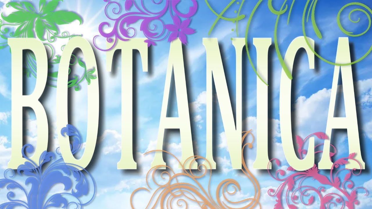 Botanica: The Music of Nature - YouTube