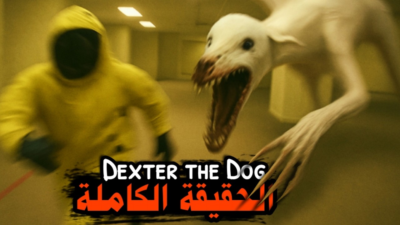 من أرعب ما أخرجت الباكرومز ؟ - dexter the dog analog horror - YouTube