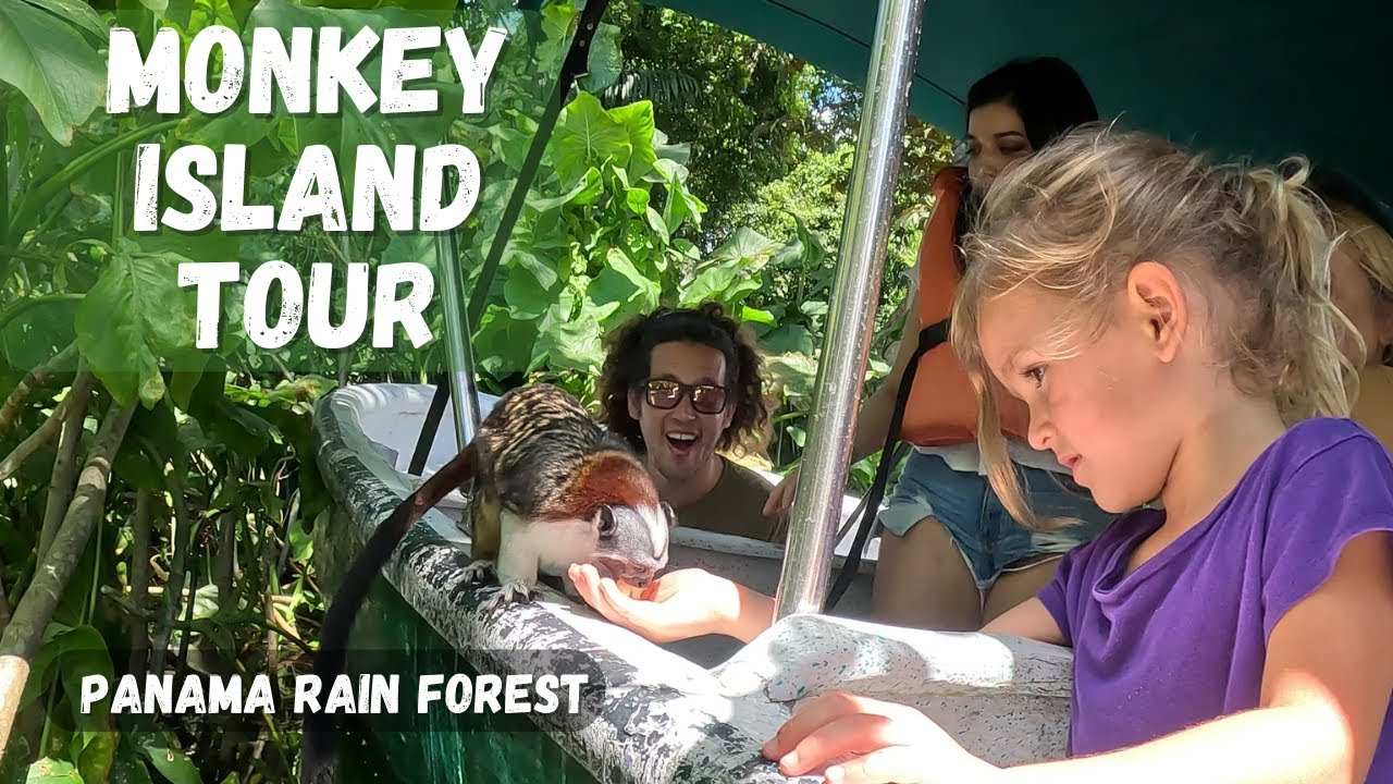 Rain Forest & Monkey Island Tour | New Leaf Panama Tours - YouTube