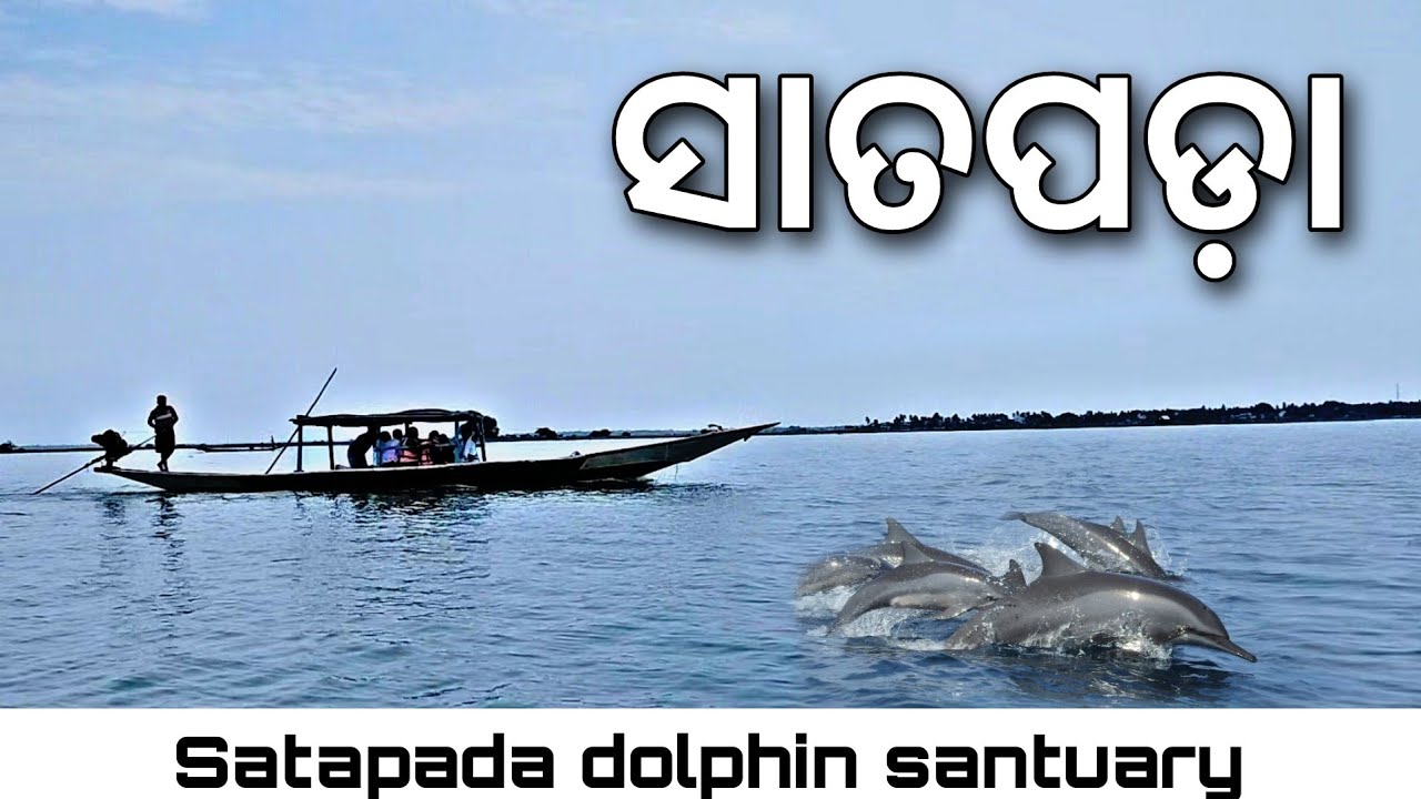 Beauty of Satapada | Satapada Dolphin Sanctuary | Odisha Tourism - YouTube