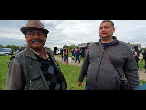 RUMSKI VASAR 03.04.2023g(1) - YouTube